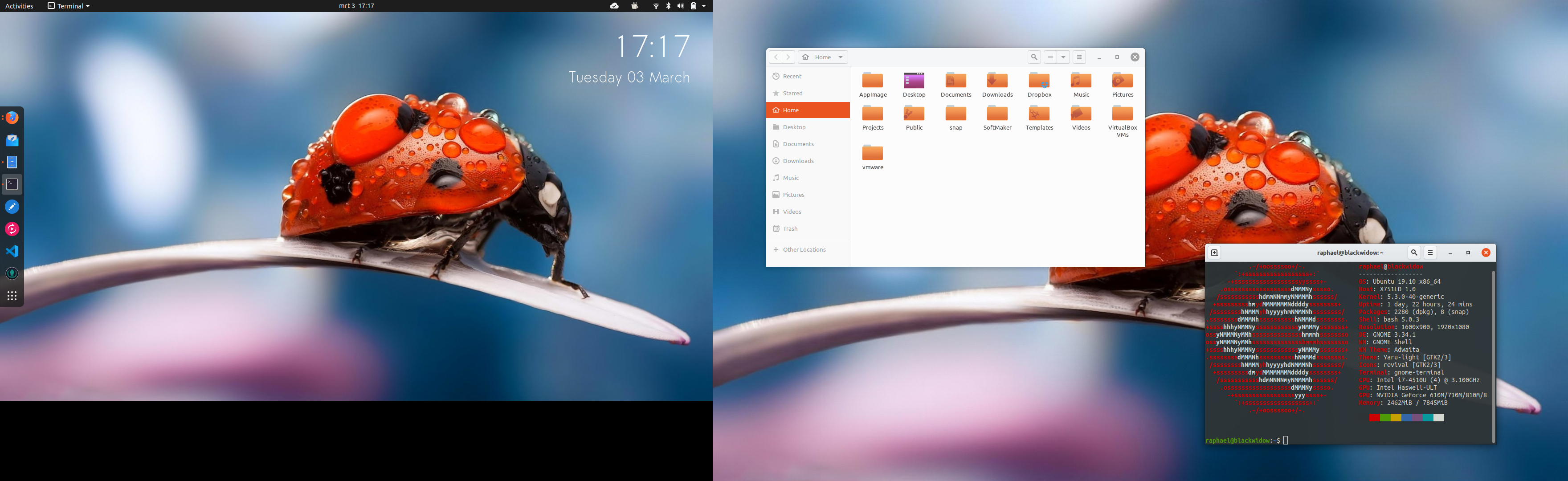 GNU/Linux Desktops: 1Q 2020 - Linux - Neowin