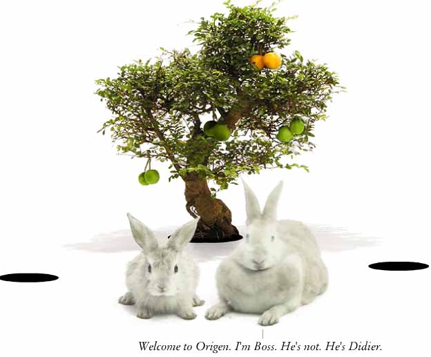 Origen Sony - Jokes & Funny Stuff - Neowin