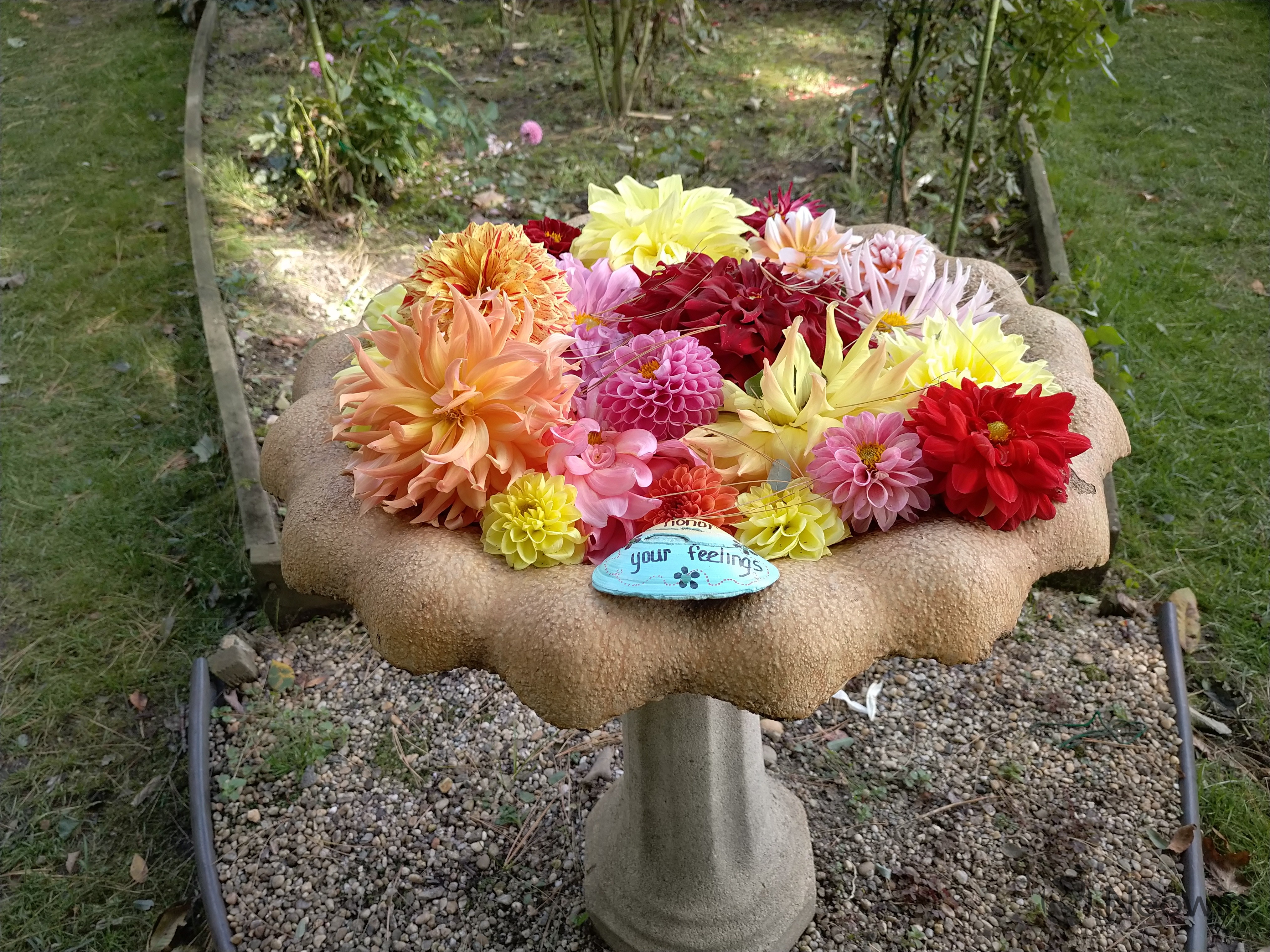 RED Hydrogen One review: It's really cool - Neowin